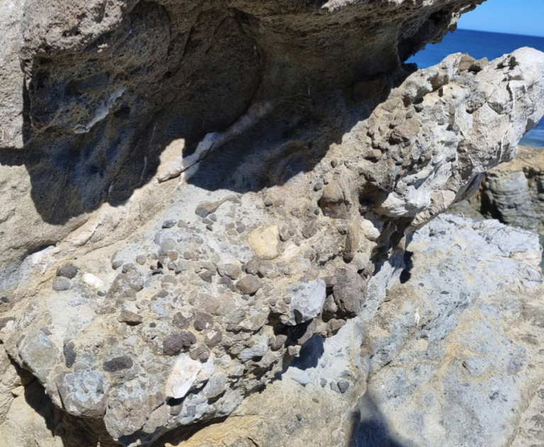 Pirinoa School, Asteroid, tsunami and the extinction of the dinosaurs ...