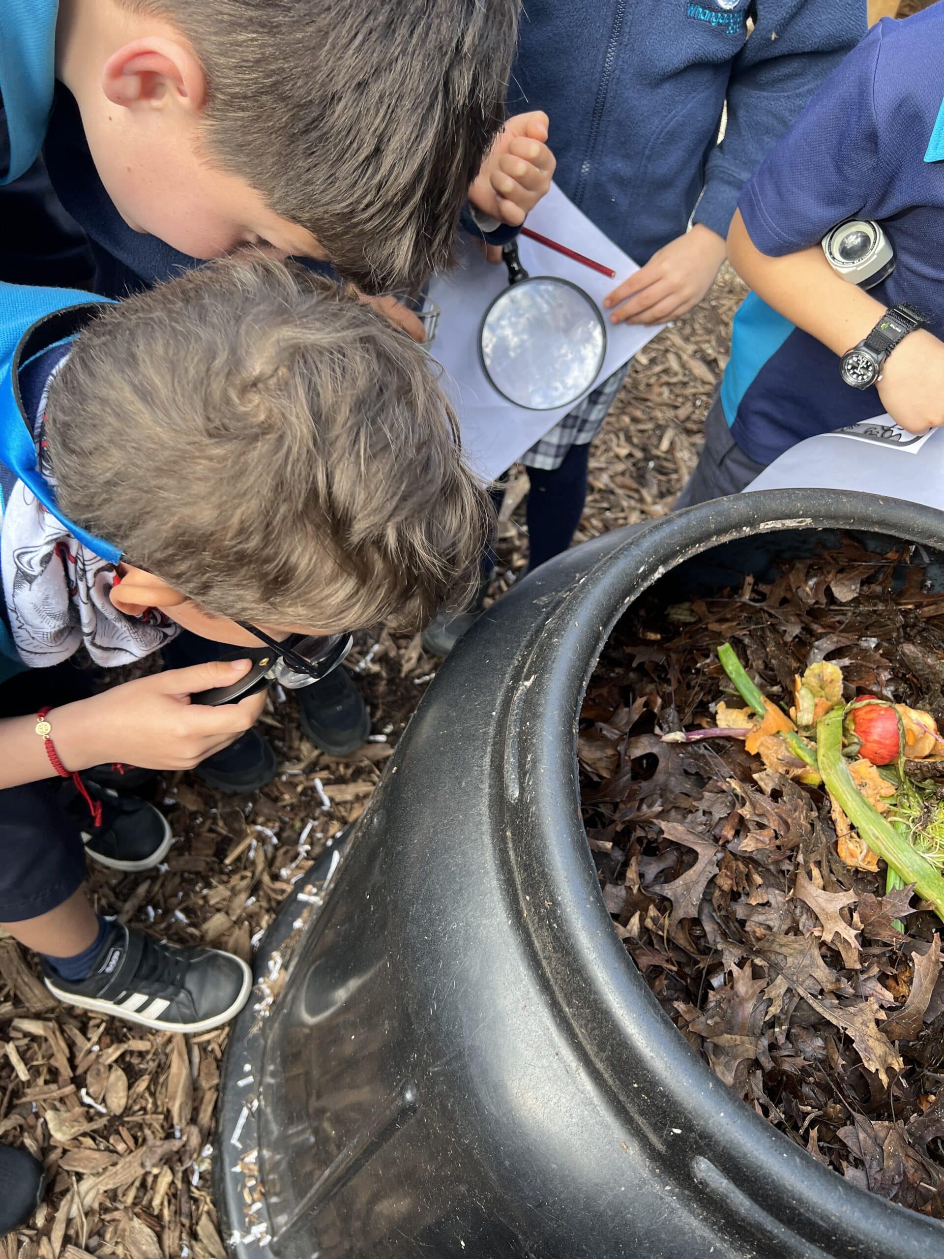 Debbie Thompson - Field-Based-STEM