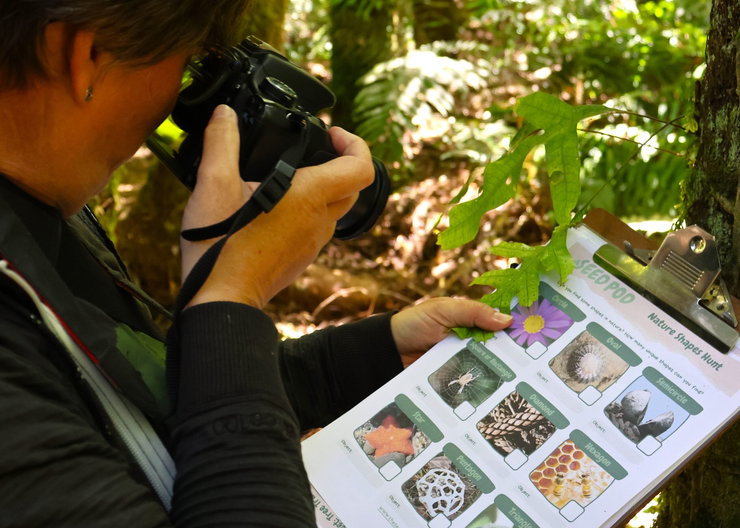 Reconnecting to Nature – Wellbeing, Identity, and Leadership - Field ...